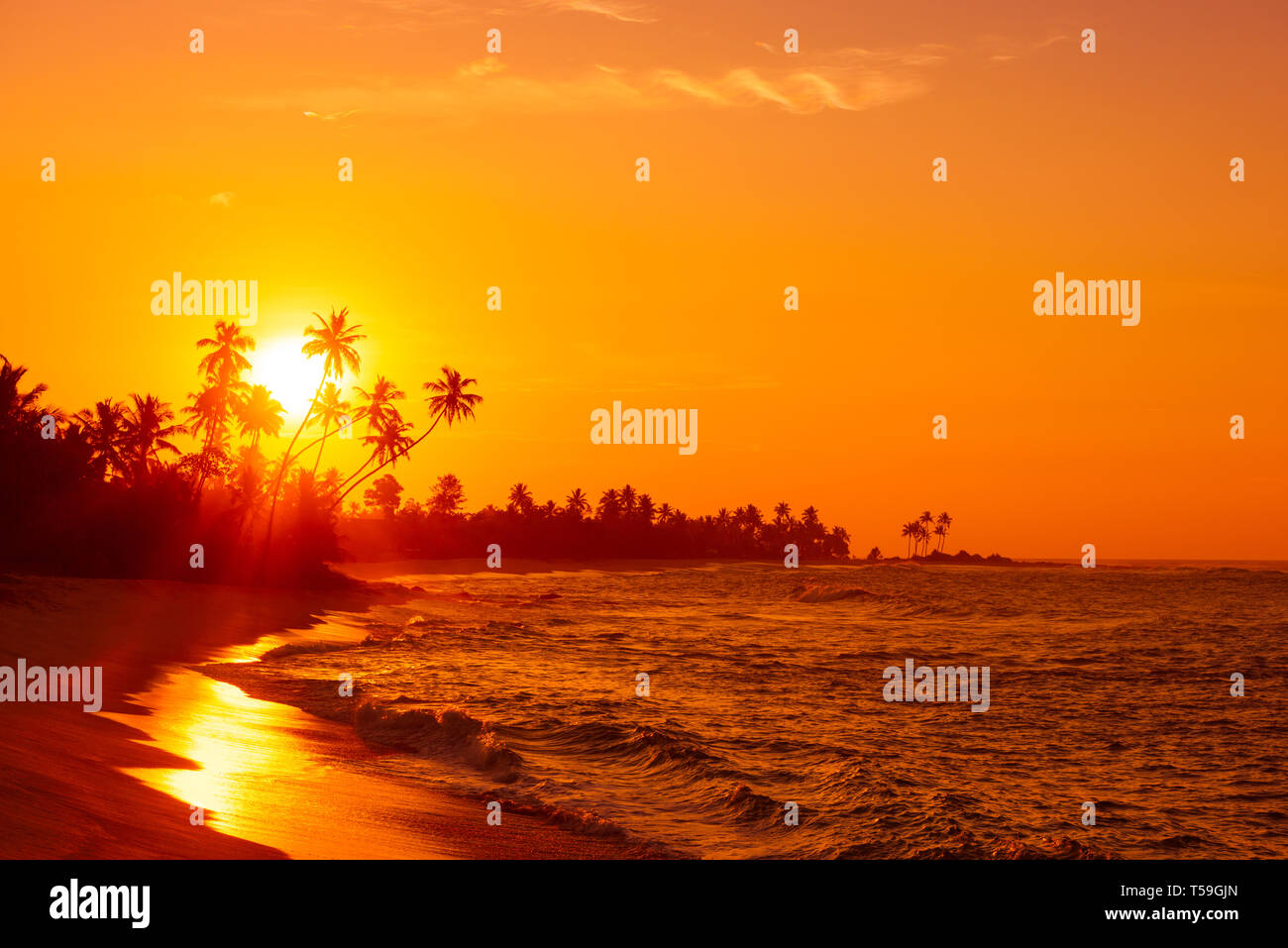 Sunset on tropical beach Stock Photo - Alamy