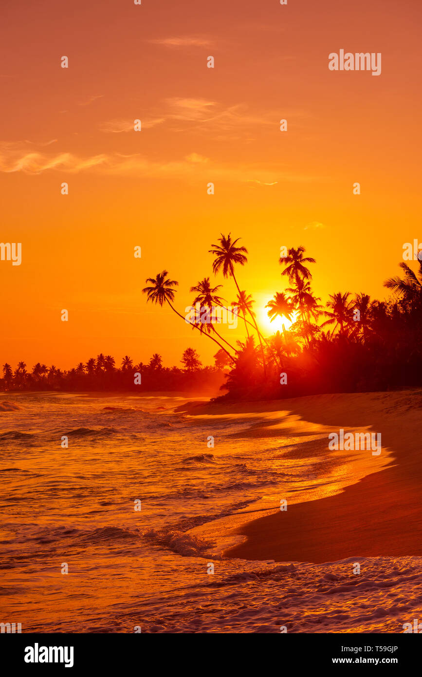 Sunset on tropical beach Stock Photo - Alamy