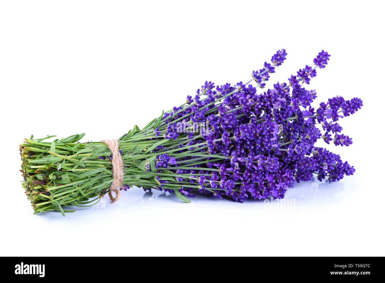 Lavender bunch tied with rope isolated on white background Stock Photo ...