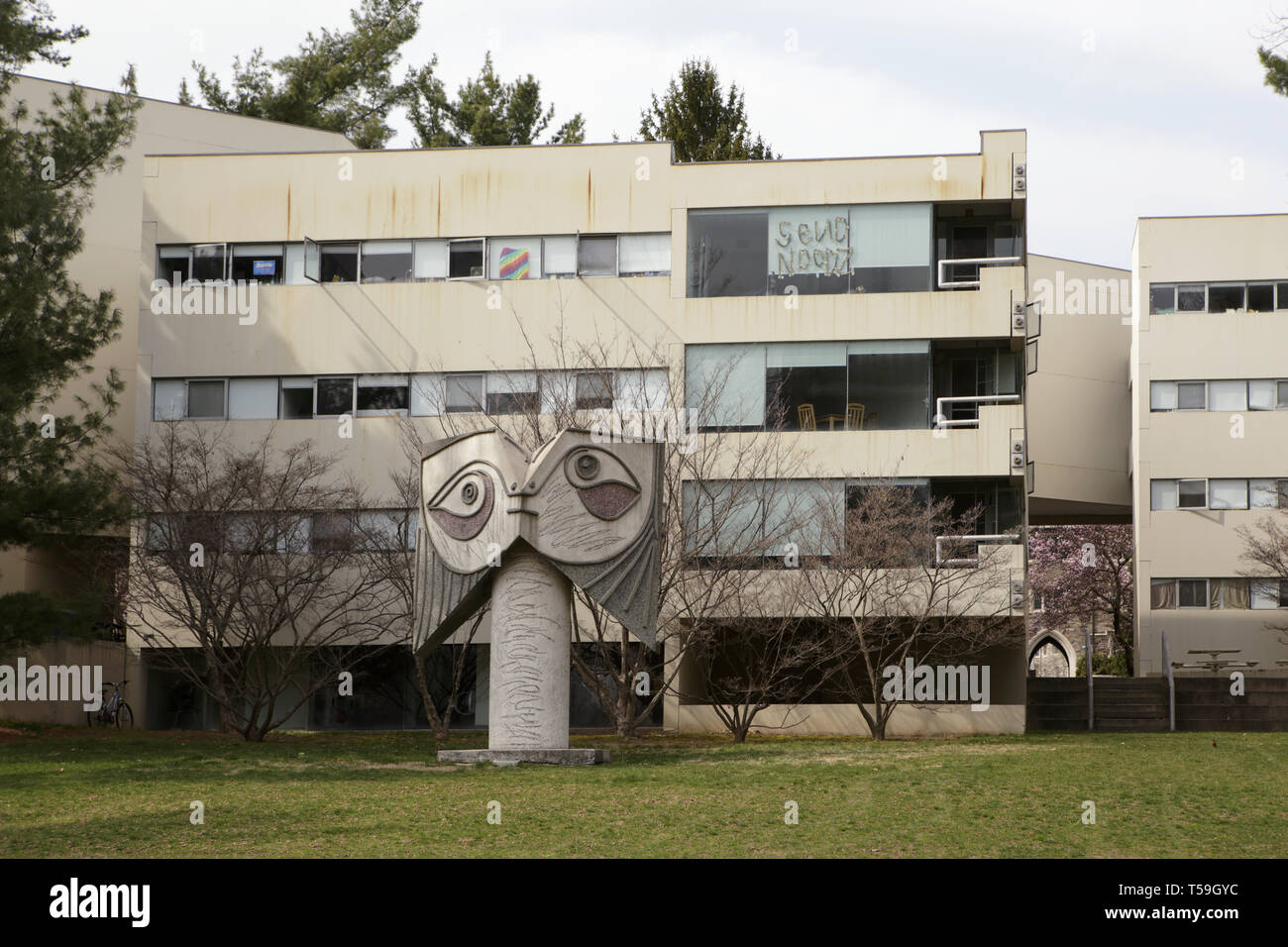 Princeton University Campus. Sculpture, Head of a Woman by Pablo ...