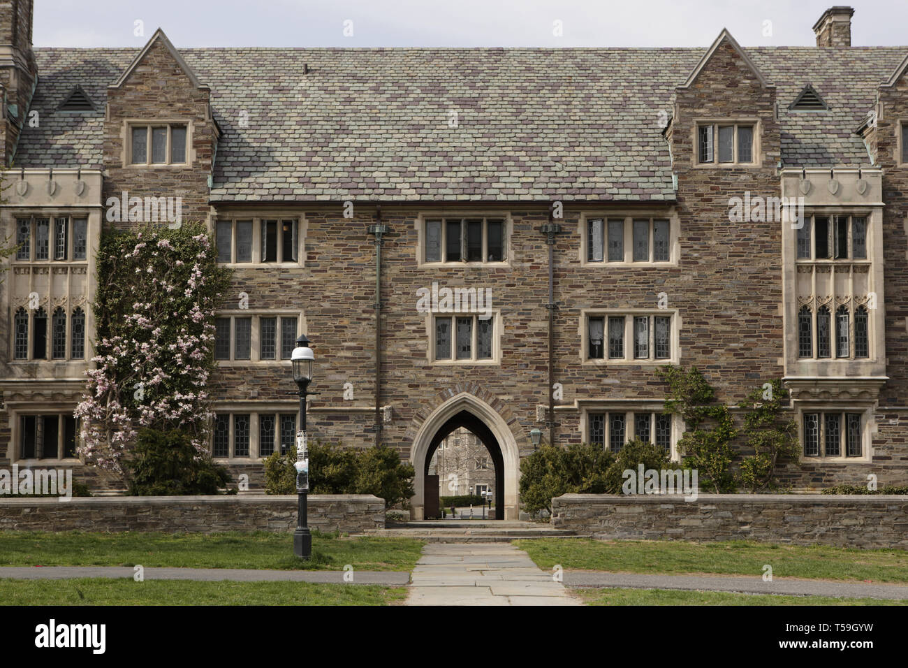 Princeton buildings hi-res stock photography and images - Alamy