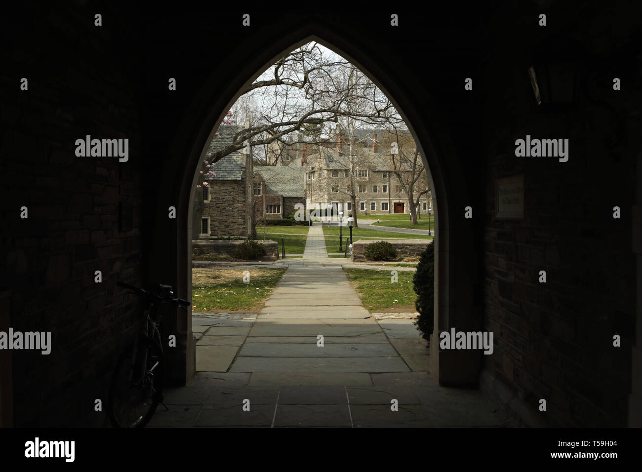 Princeton buildings hi-res stock photography and images - Alamy