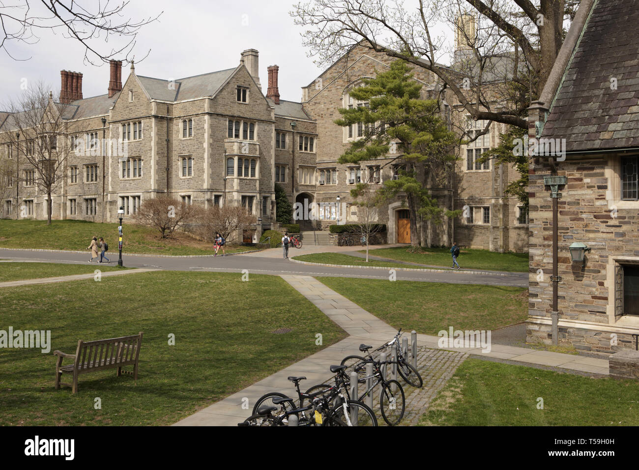 Princeton University Campus Stock Photo - Alamy