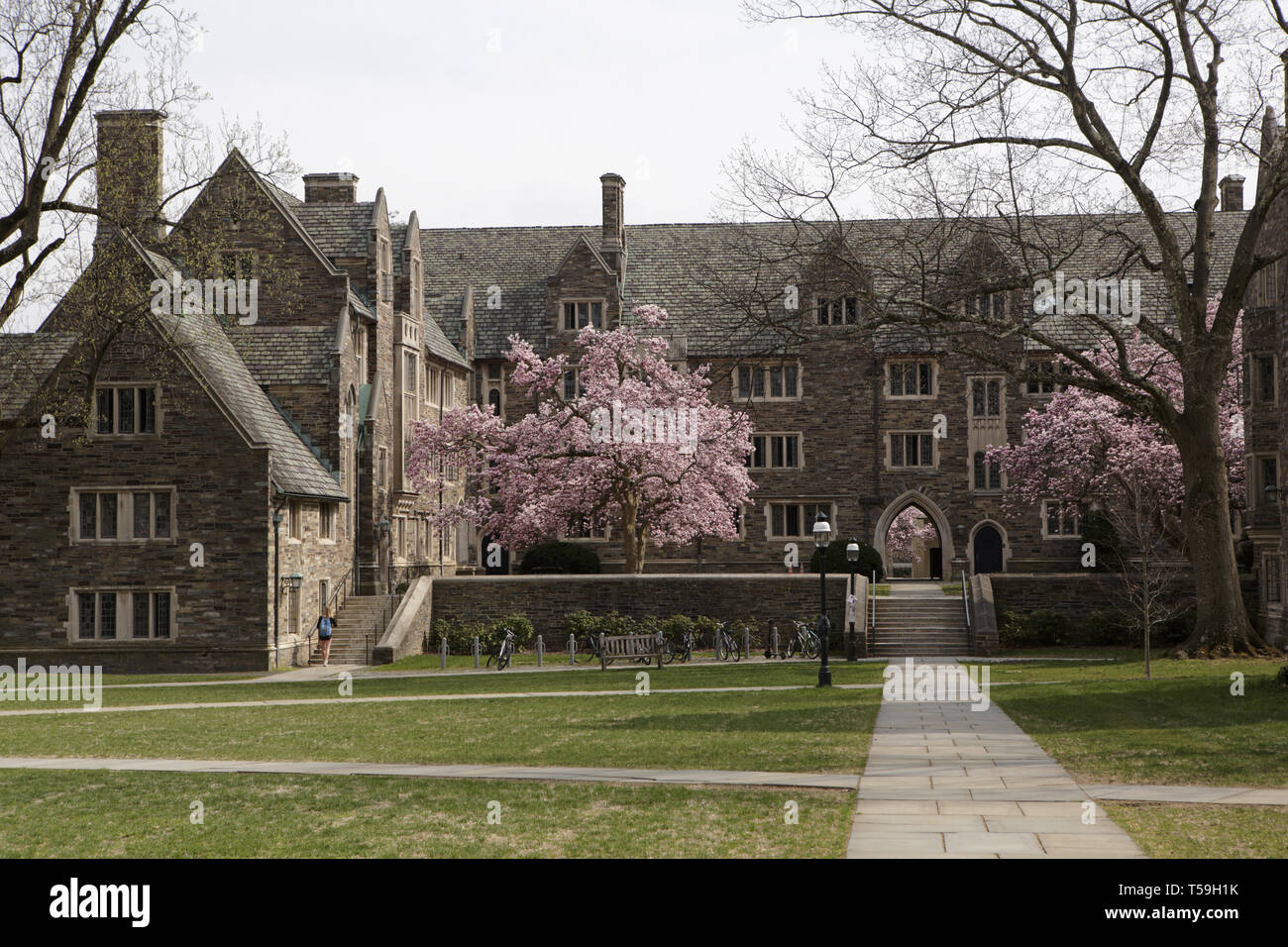 Princeton University Campus Stock Photo - Alamy