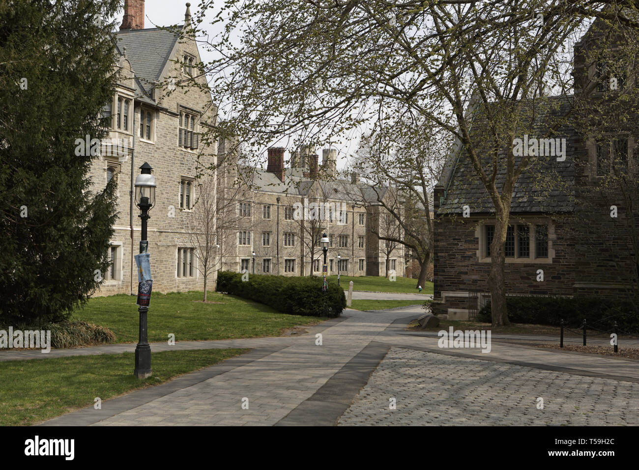 Princeton University Campus Stock Photo - Alamy