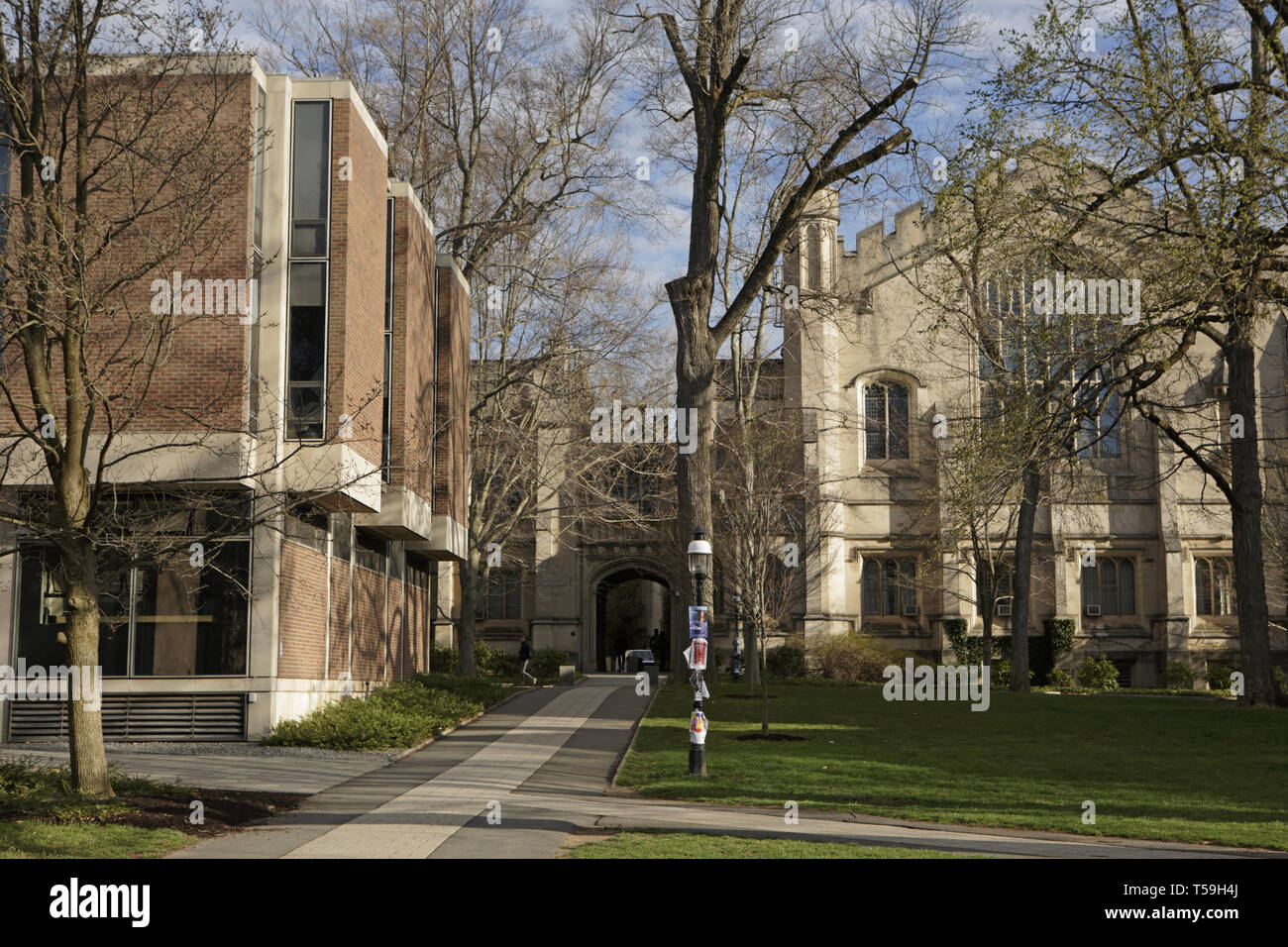 Princeton University Campus Stock Photo - Alamy