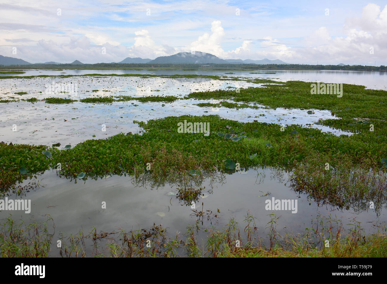 Tissa Wewa. Lake Tissa, Tissamaharama, Hambantota District, Southern ...