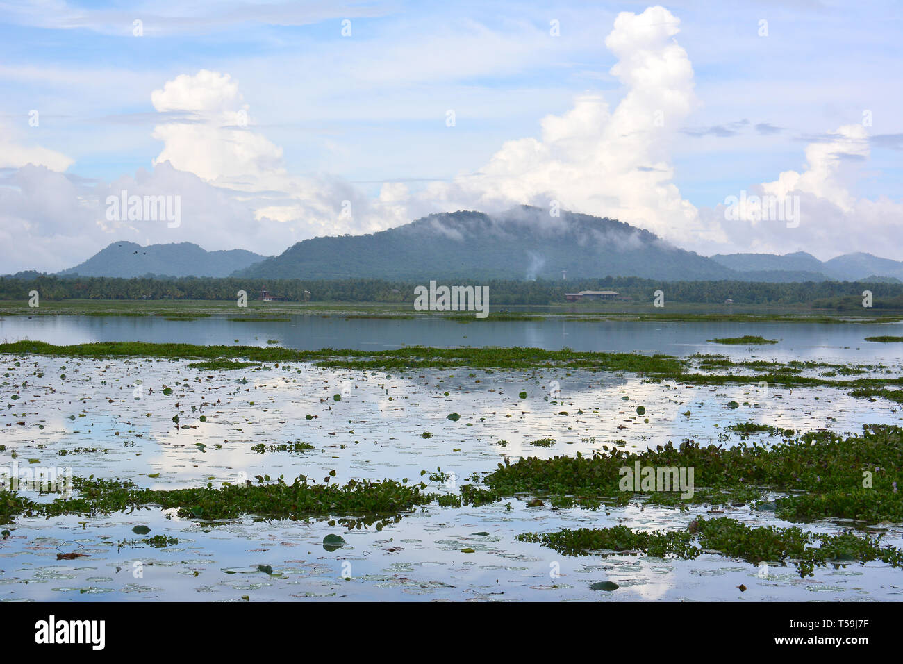 Tissa Wewa. Lake Tissa, Tissamaharama, Hambantota District, Southern ...