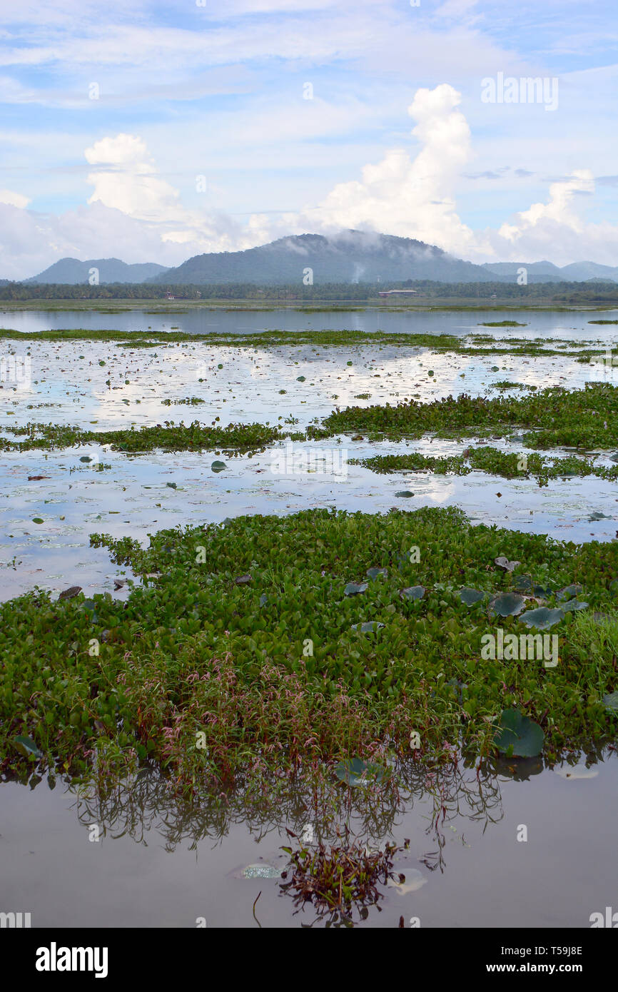 Tissa Wewa. Lake Tissa, Tissamaharama, Hambantota District, Southern ...