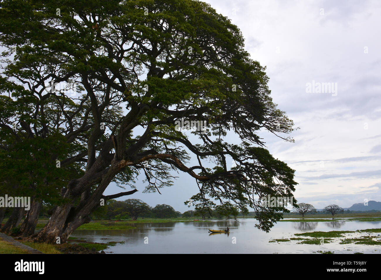 Tissa Wewa. Lake Tissa, Tissamaharama, Sri Lanka. Tissa-tó ...