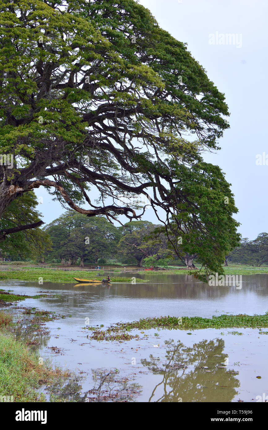 Tissa Wewa. Lake Tissa, Tissamaharama, Hambantota District, Southern ...