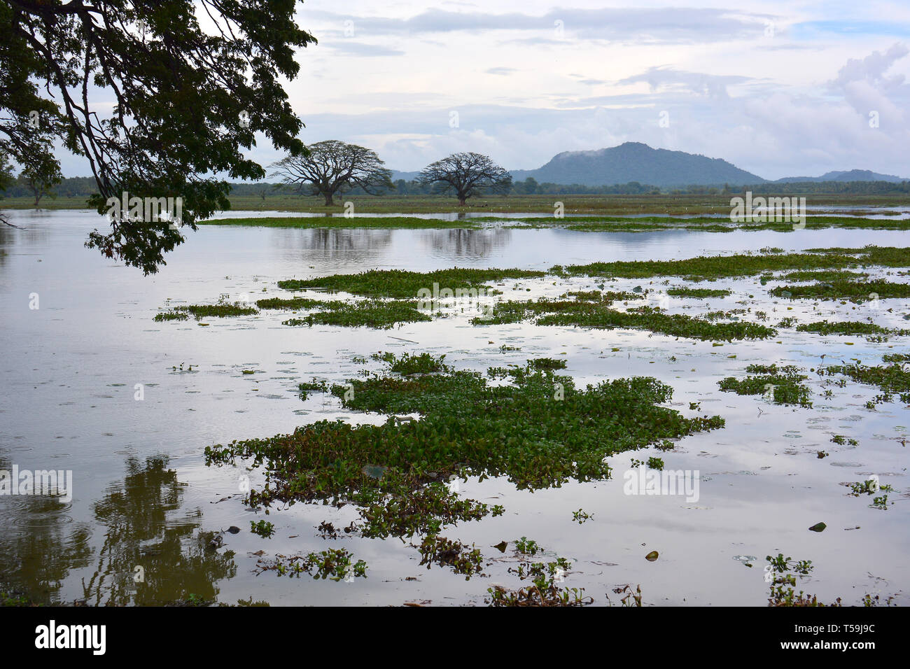 Wewa High Resolution Stock Photography and Images - Alamy
