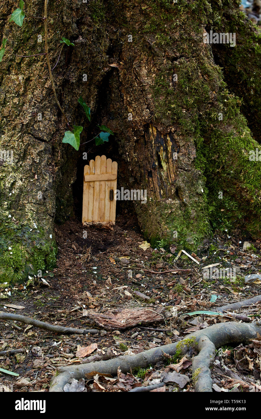 Doorway into base of large tree as a gateway to nature abstract Stock ...