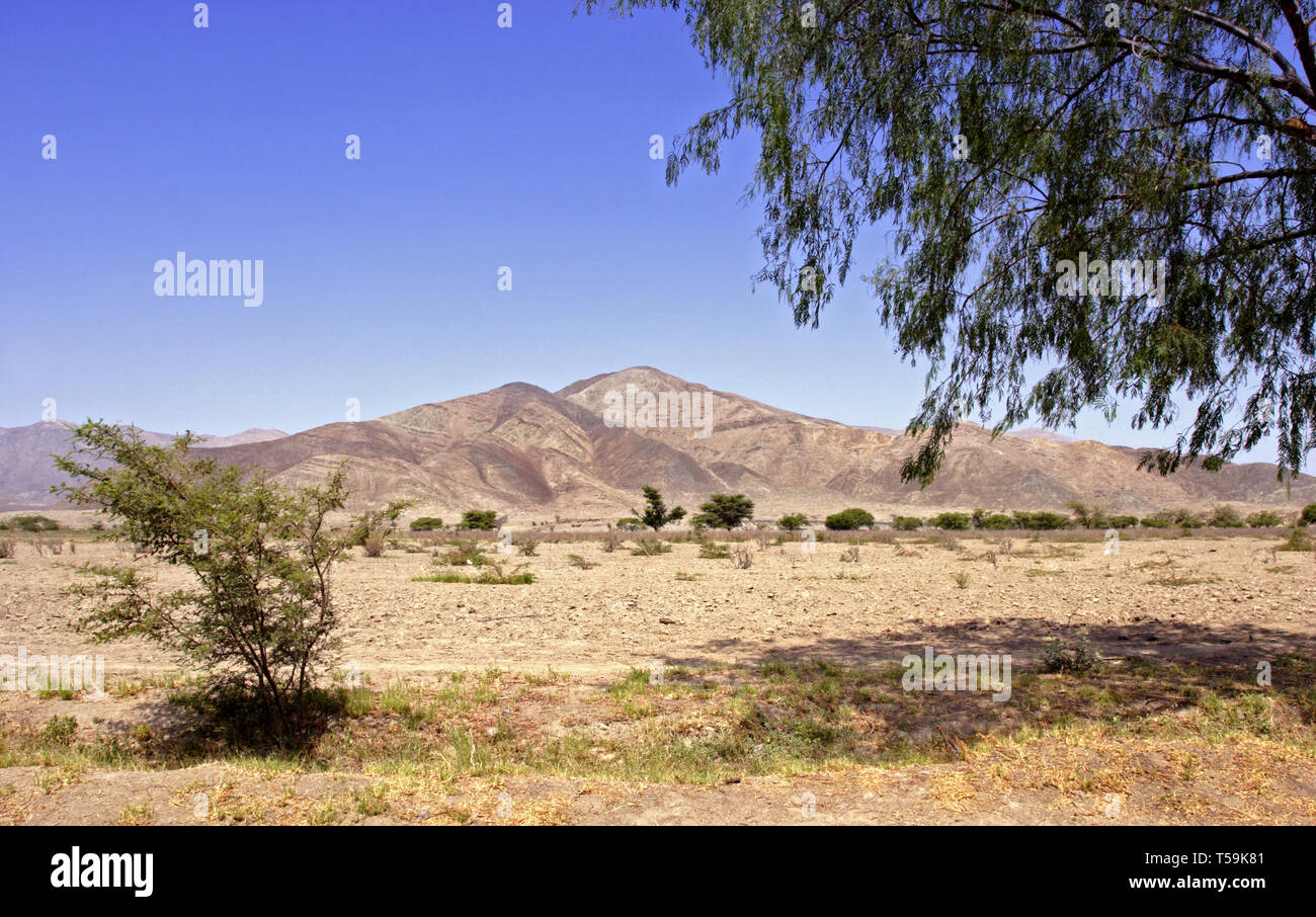 Desert Landscapes In Peru