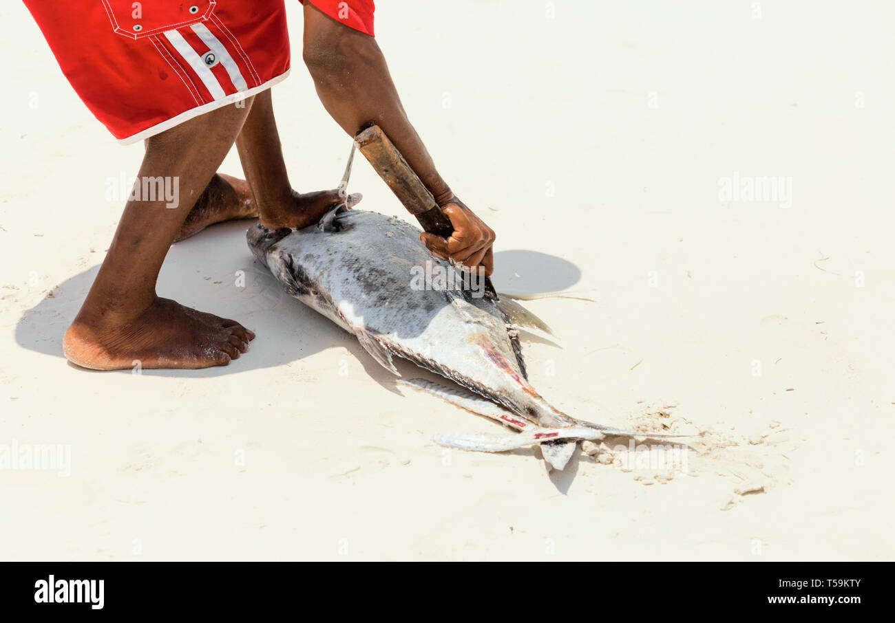 Man beach eating meat hi-res stock photography and images - Alamy