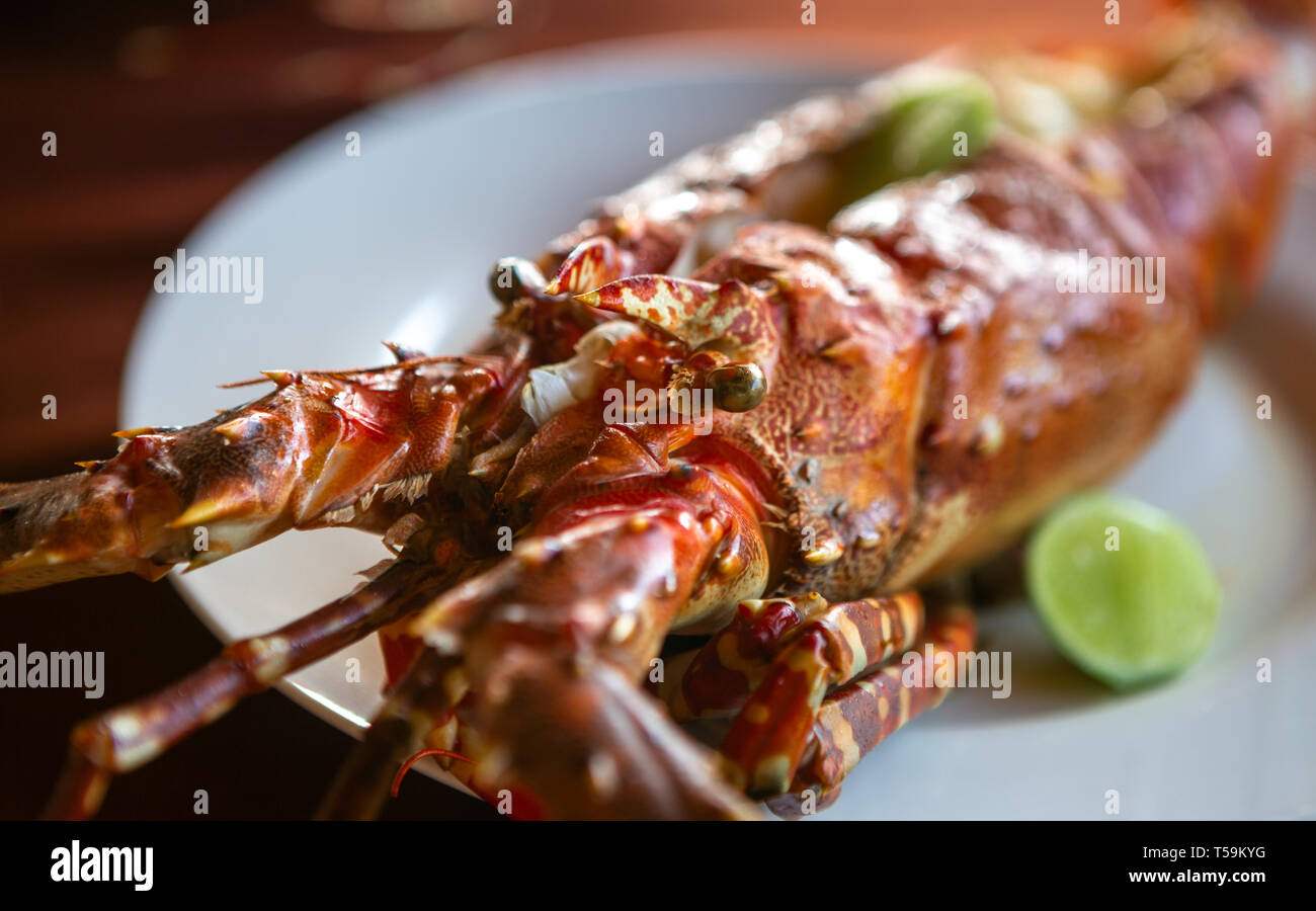 Big tasty lobster hi-res stock photography and images - Alamy