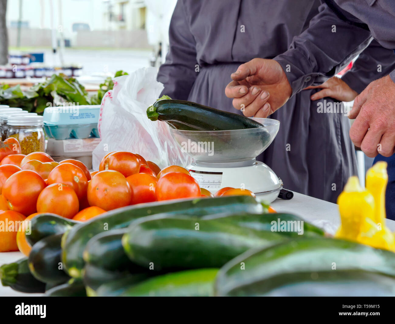 Zucchini squash being weighed on a mechanical scale at the Corpus ...