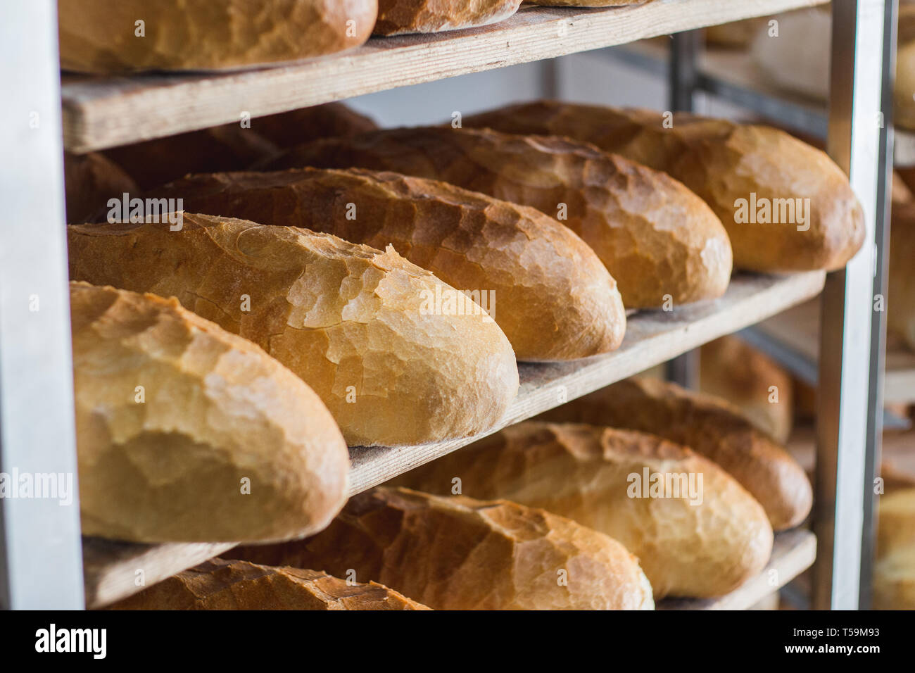 Fresh bread inside of a bakery ready to sell Stock Photo - Alamy
