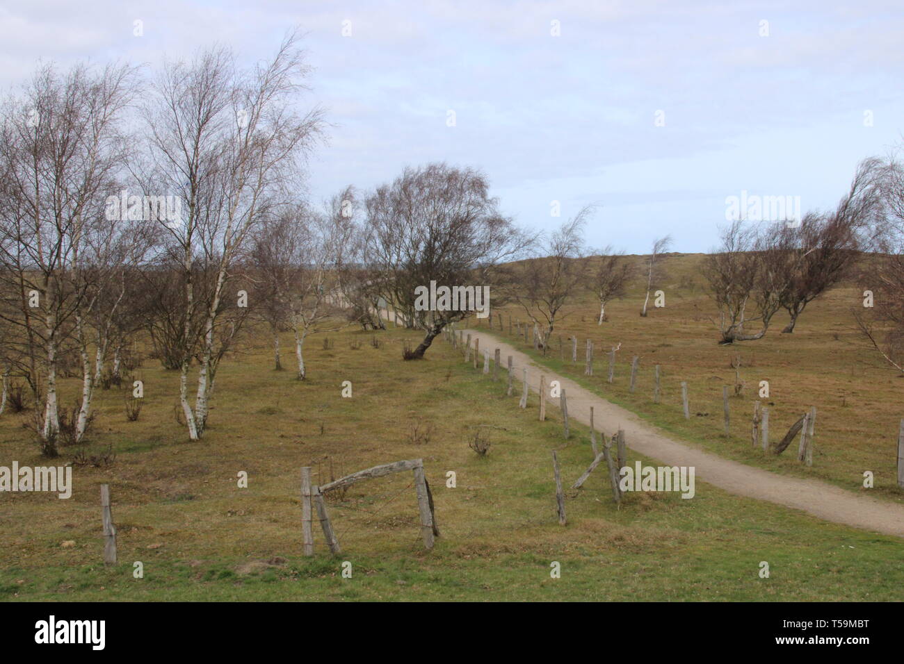 Strand Meer sea beach Stock Photo - Alamy