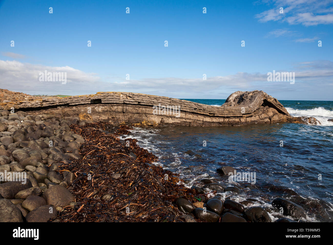 Greymare Rock a folded limestone rock formation on Embleton Bay Stock ...