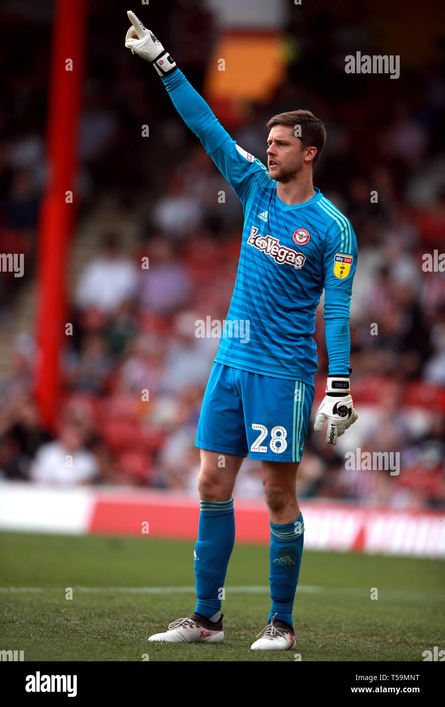 Brentford goalkeeper luke daniels hi-res stock photography and images ...