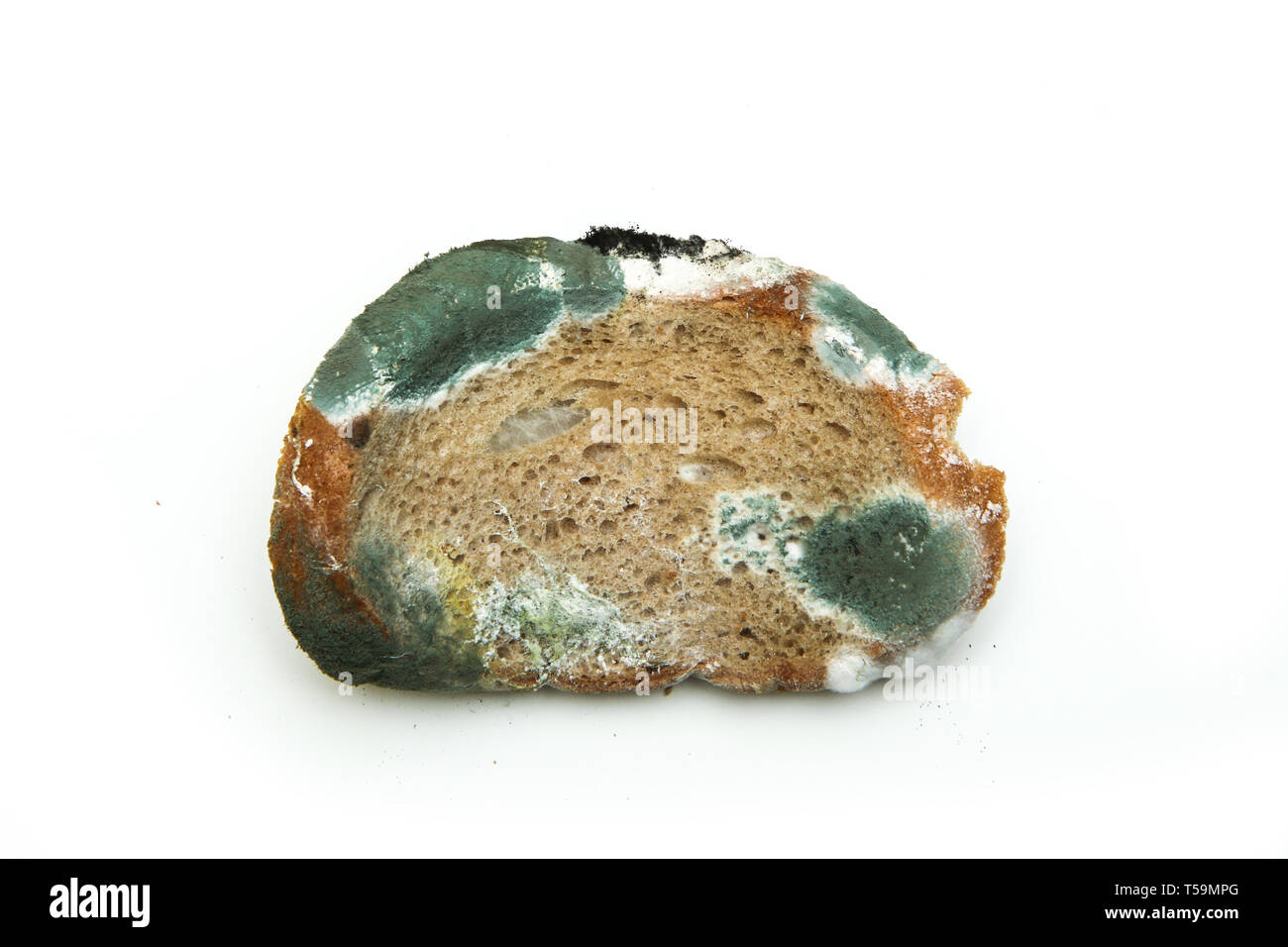 The picture of a mouldy bread. Rotten and uneatable. Isolated on white ...