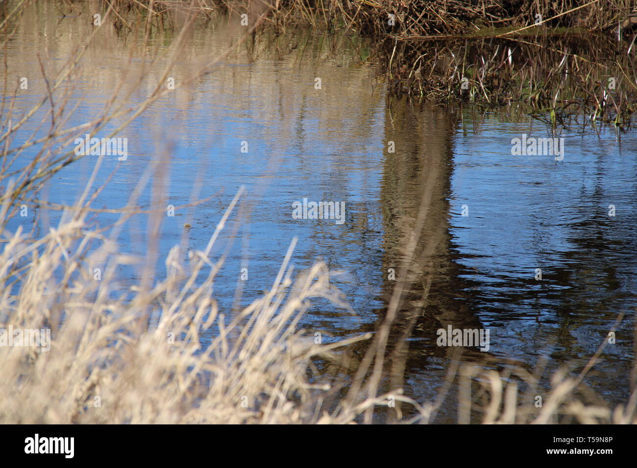Nass Fluss High Resolution Stock Photography and Images - Alamy