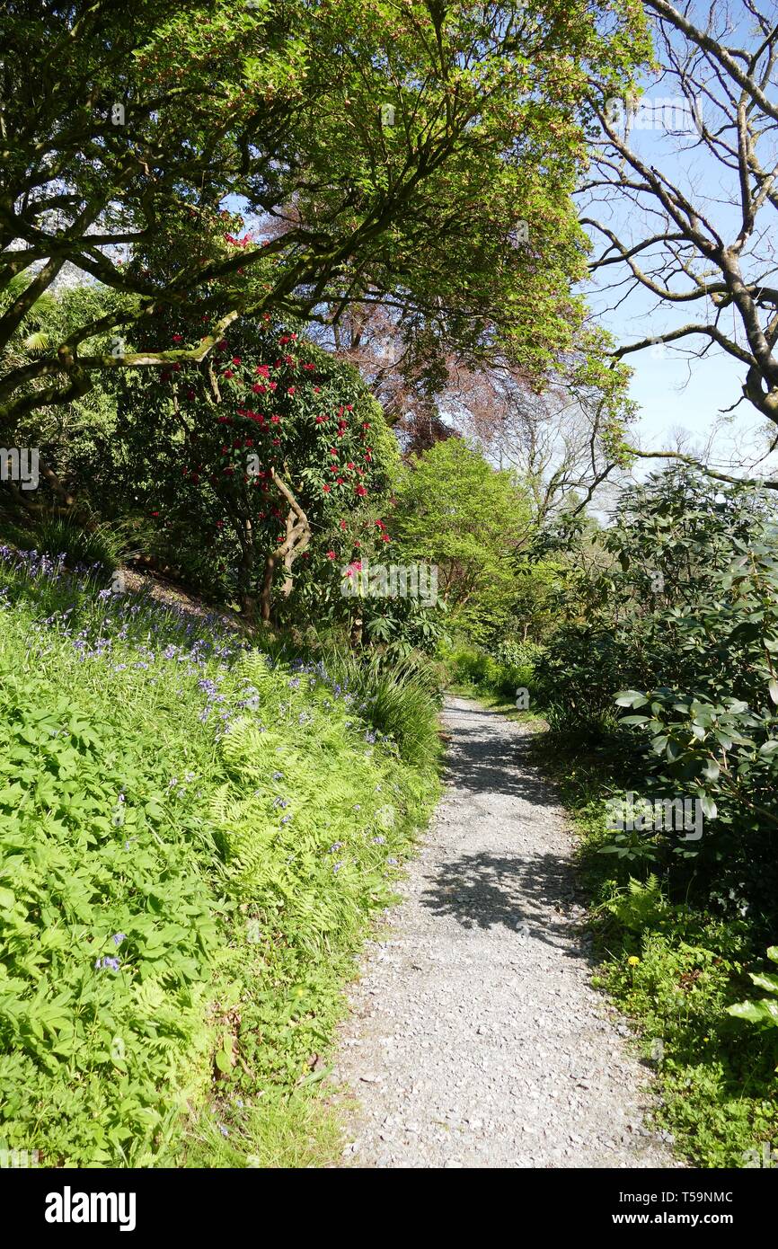Country walks devon hi-res stock photography and images - Alamy