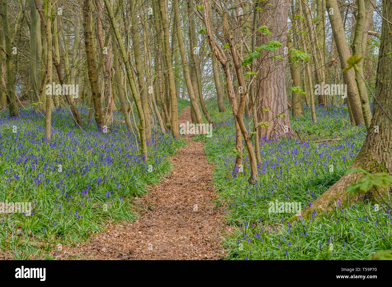 Worfield village hi-res stock photography and images - Alamy