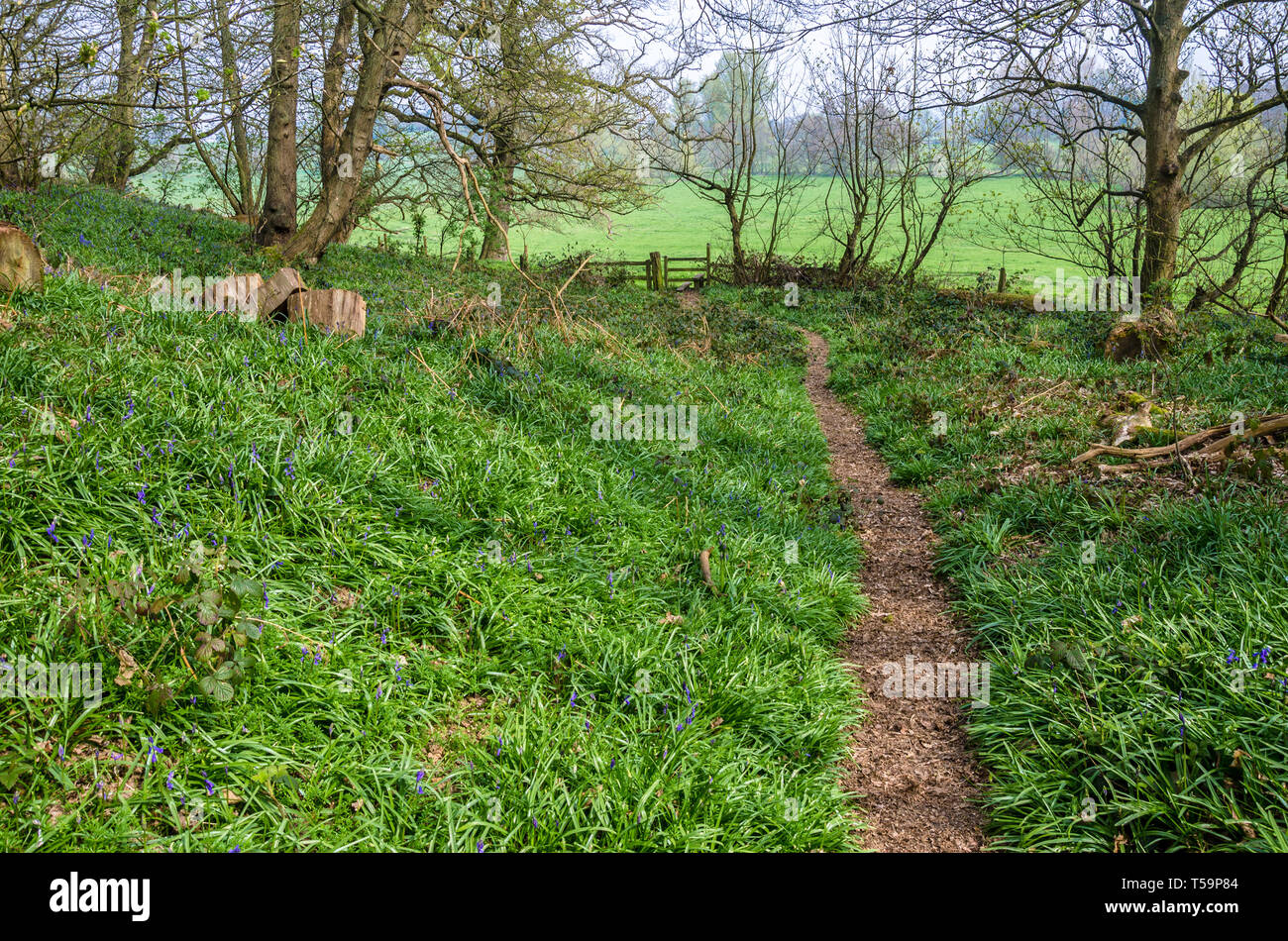 Worfield village hi-res stock photography and images - Alamy