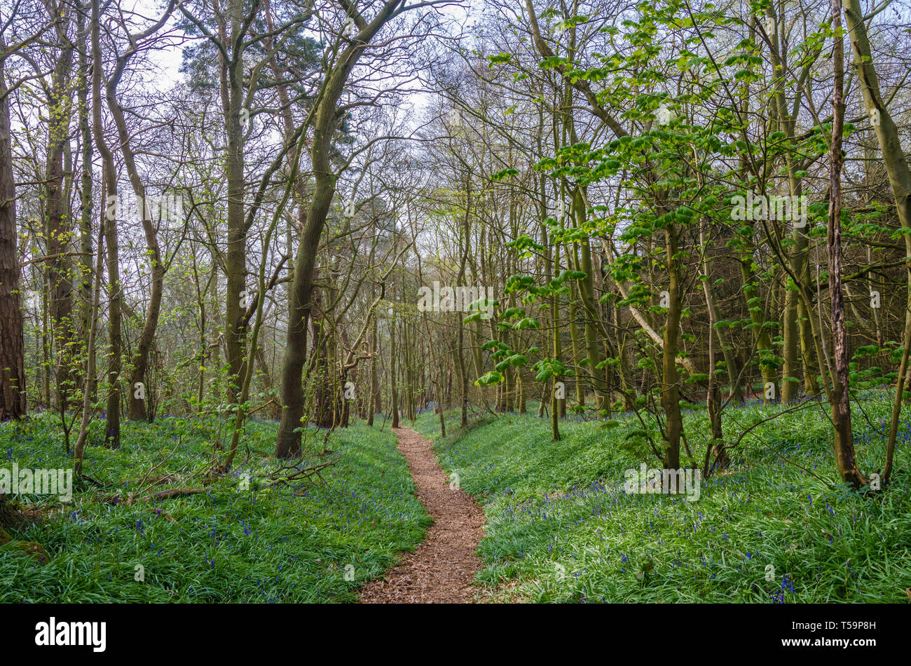 Worfield village hi-res stock photography and images - Alamy
