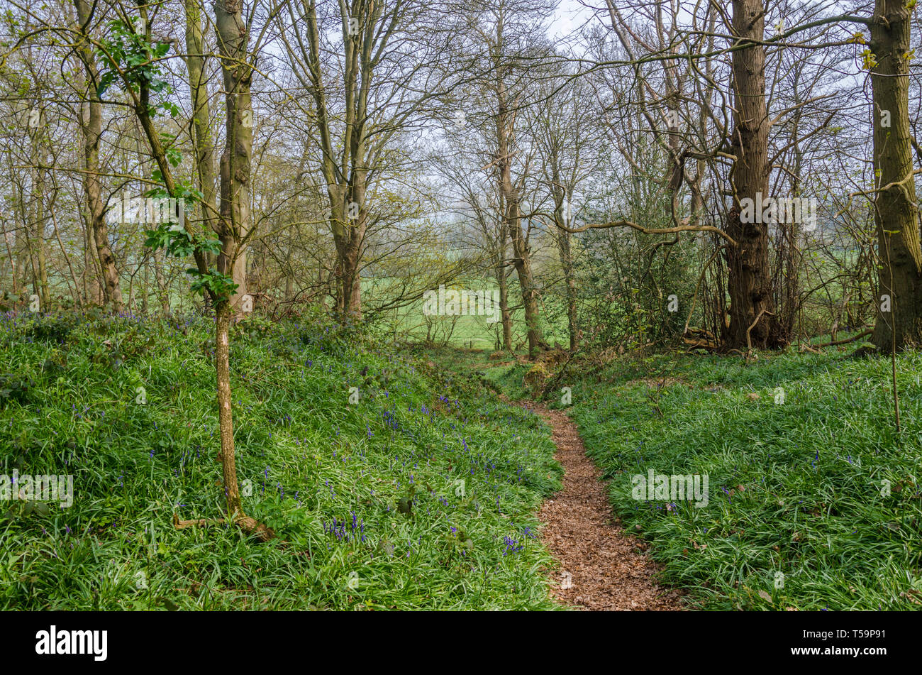 Worfield village hi-res stock photography and images - Alamy