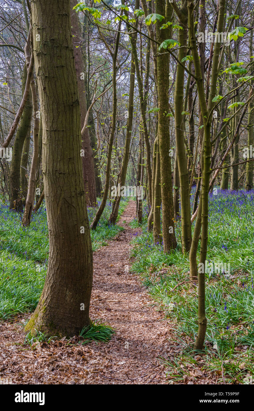 Worfield village hi-res stock photography and images - Alamy