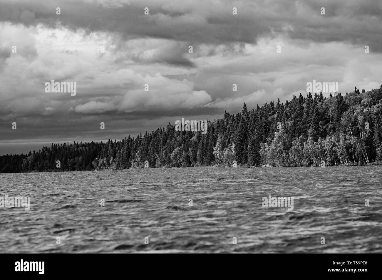 lake and trees in high contrast black and white Stock Photo - Alamy