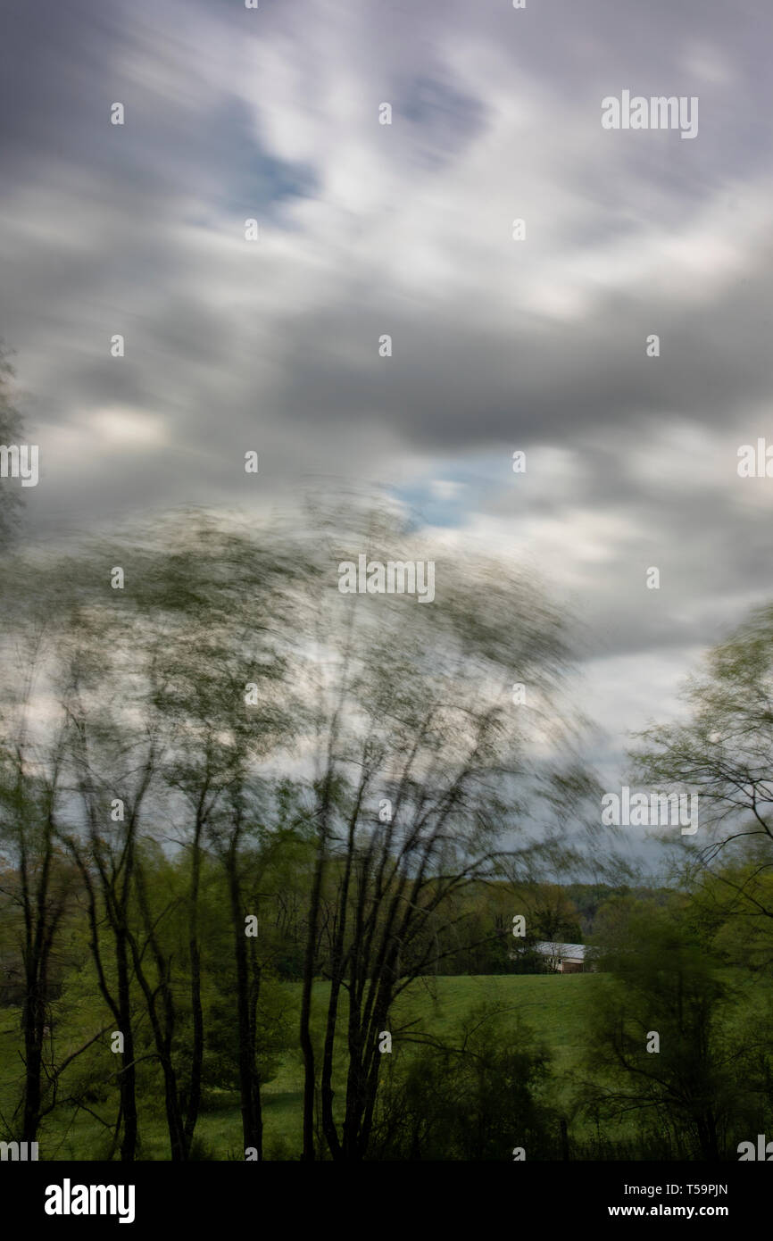 Storm clouds scoot by during April thunderstorm as winds blur trees in ...