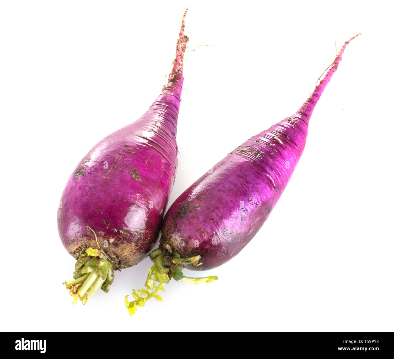 purple radish in front of white background Stock Photo - Alamy