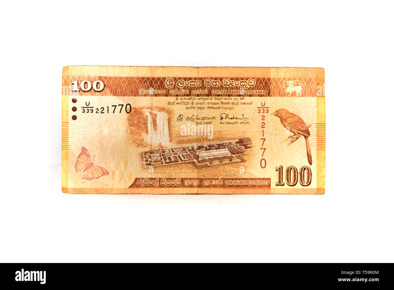A 100 Sri Lankan rupees bank note isolated over white Stock Photo - Alamy