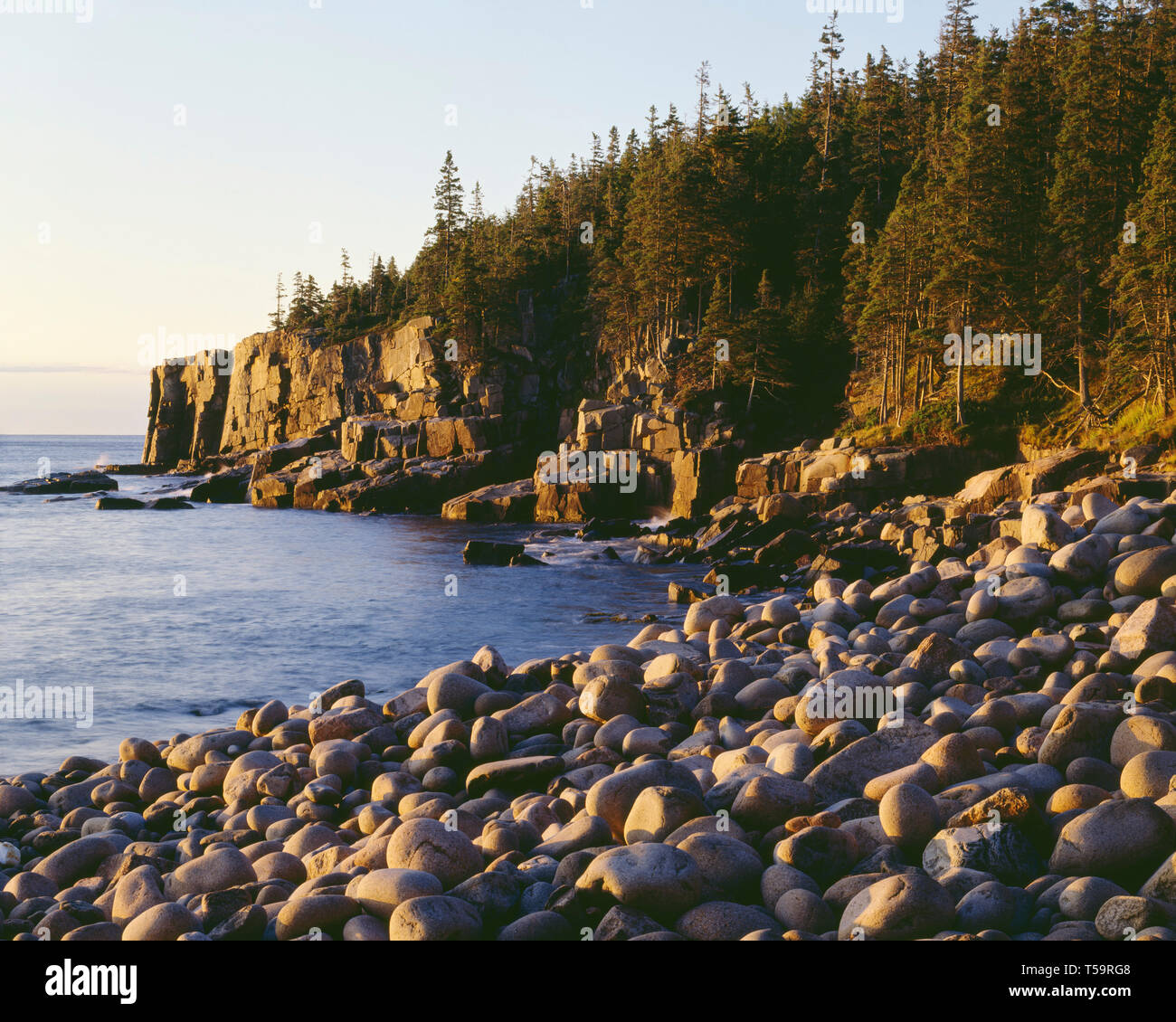 USA, Maine, Acadia National Park, Sunrise light on wave-rounded rocks ...