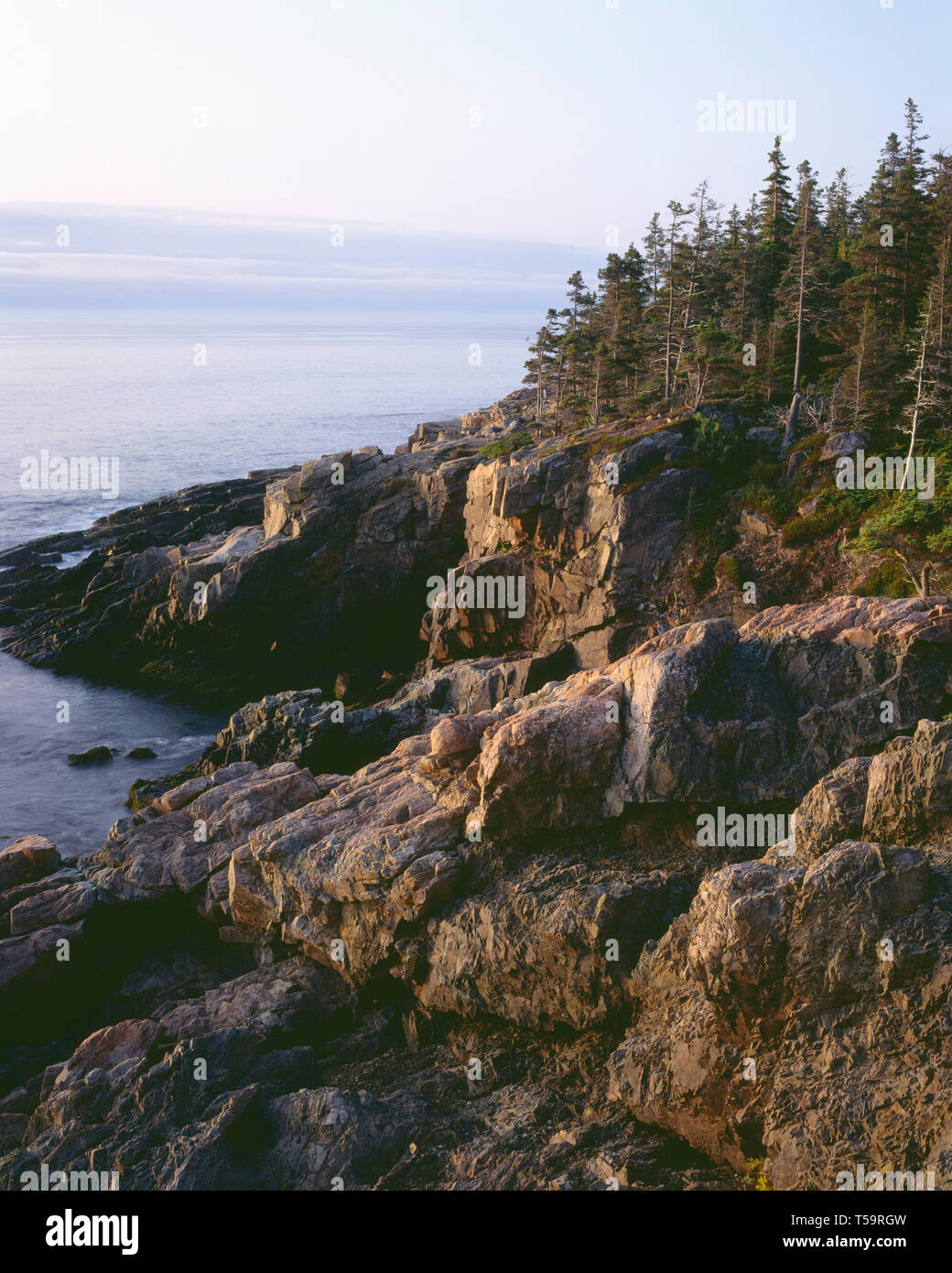USA, Maine, Acadia National Park, Rocky, granite coastline meets calm ...
