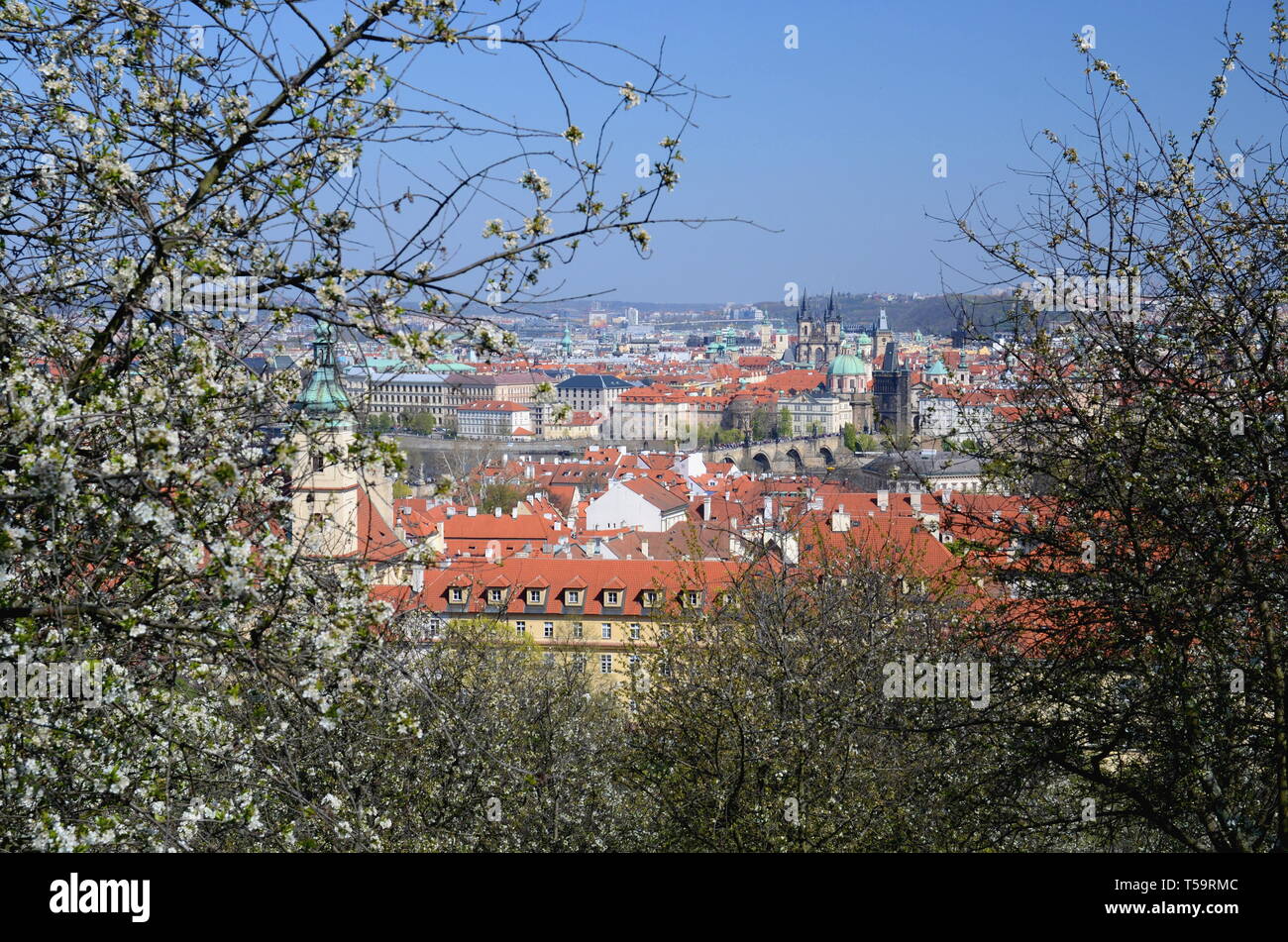 Prague spring hi-res stock photography and images - Alamy