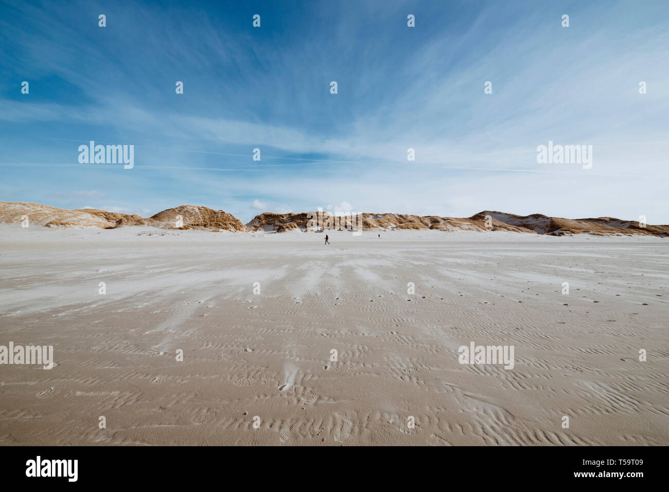 Wide sandy beach landscape during low tide with hills on horizon under ...