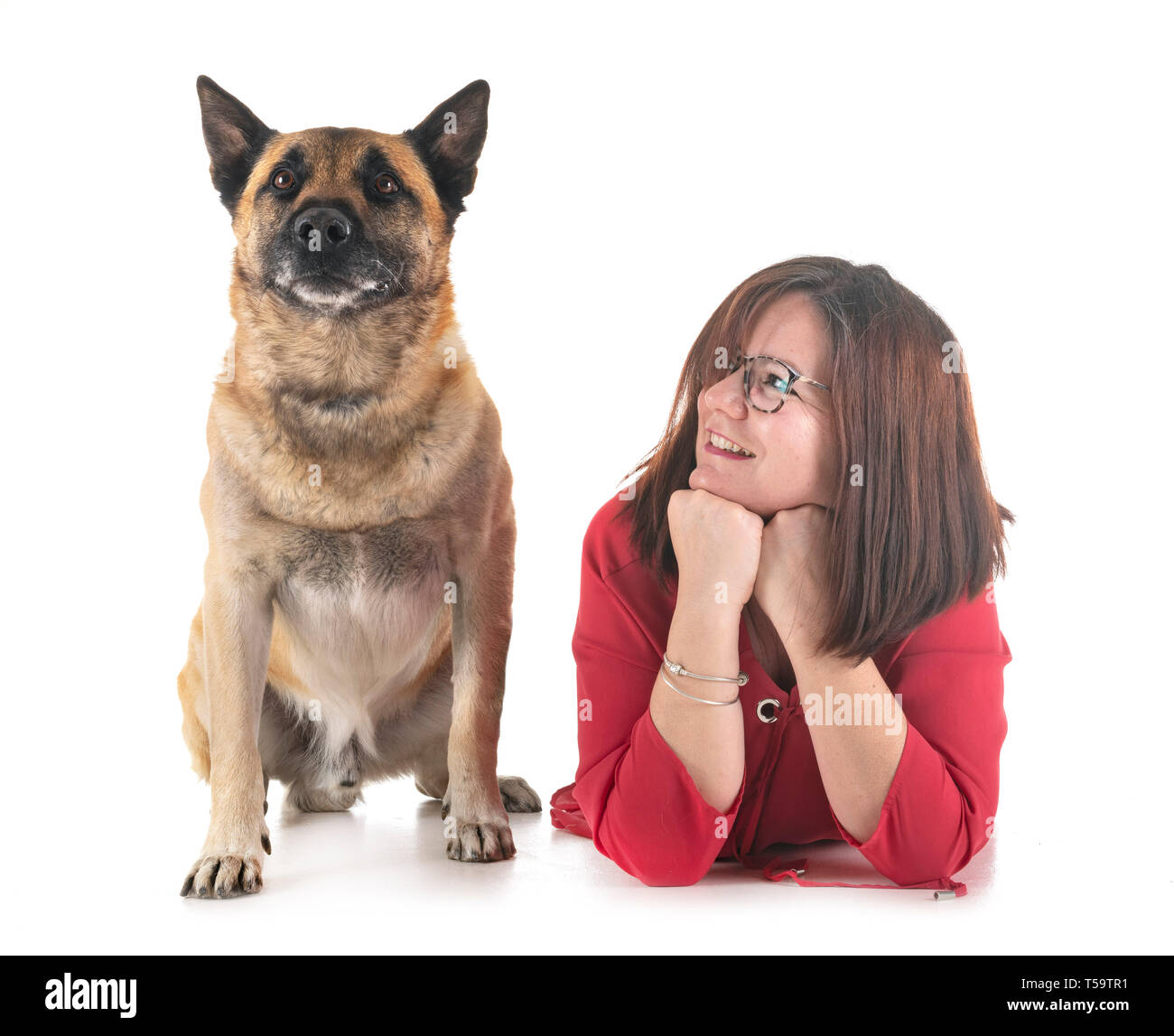 Senior malinois Cut Out Stock Images & Pictures - Alamy