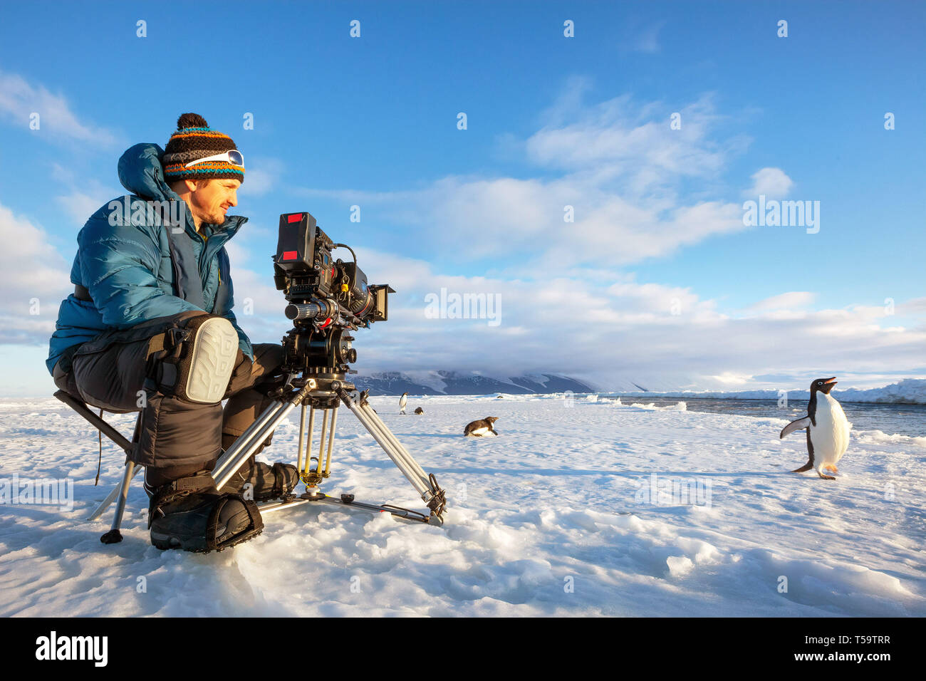 PENGUINS, 2019. ph: Ben Adkison / © Walt Disney Studios Motion Pictures ...