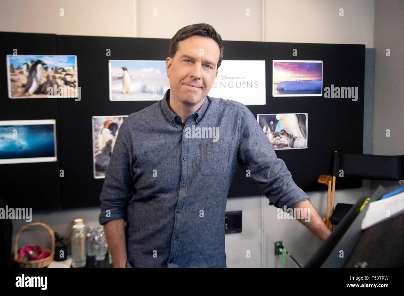 PENGUINS, Ed Helms (narrator), 2019. ph: Alberto Rodriguez / © Walt ...