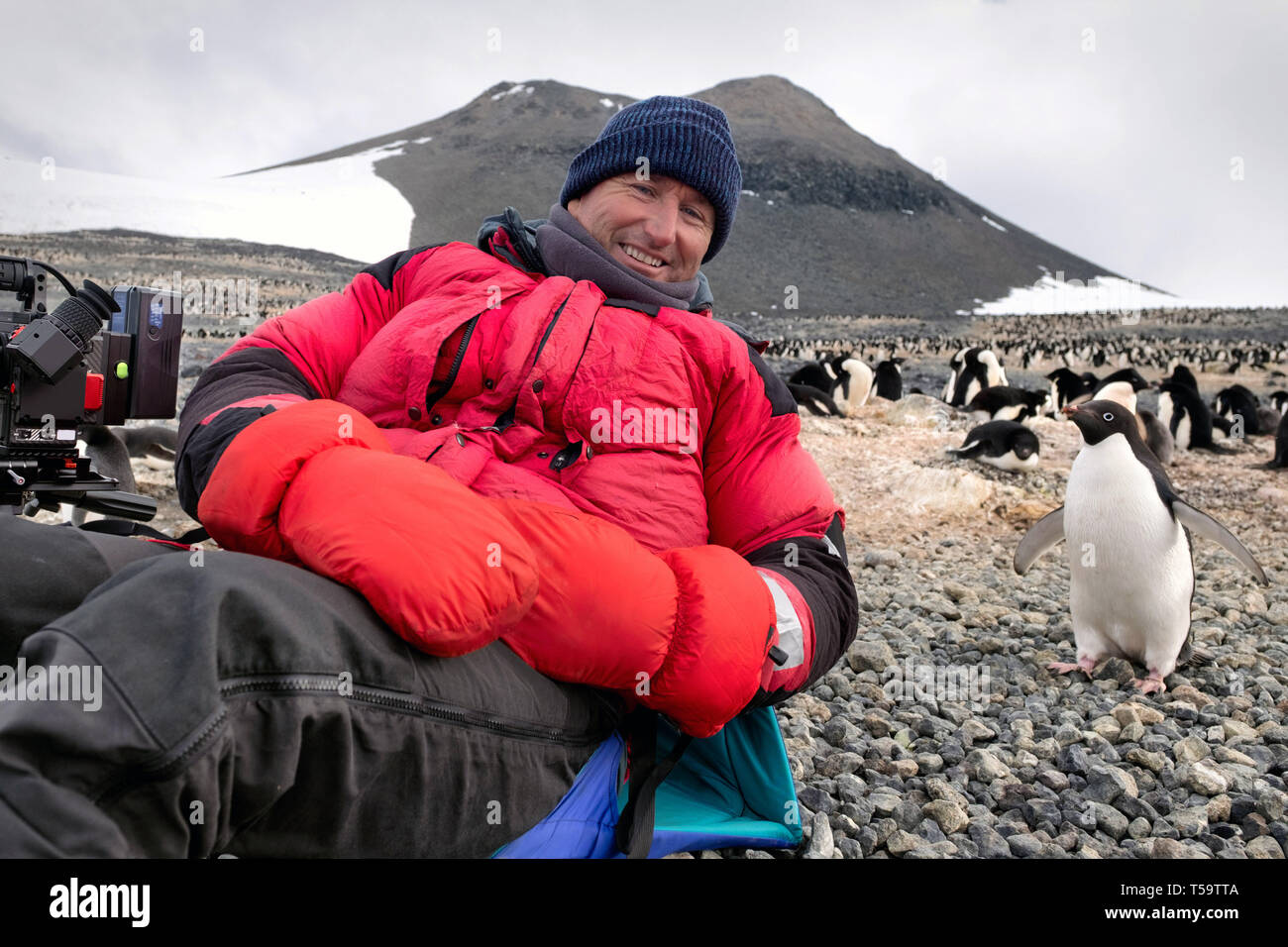 PENGUINS, Martyn Colbeck (Principal Photography) has a close encounter ...