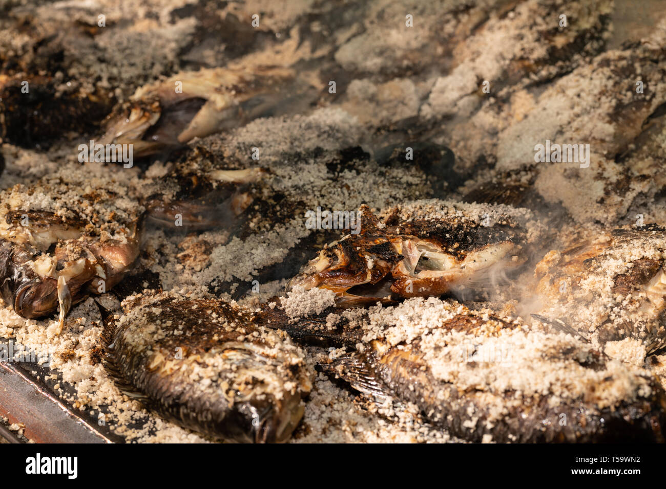 Tilapia cooked hi-res stock photography and images - Alamy
