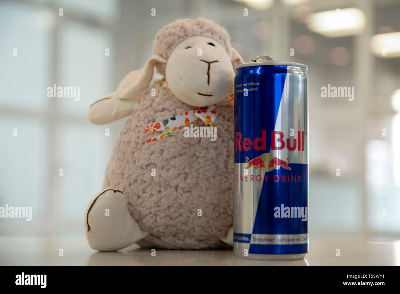 Warn the sheep hi-res stock photography and images - Alamy