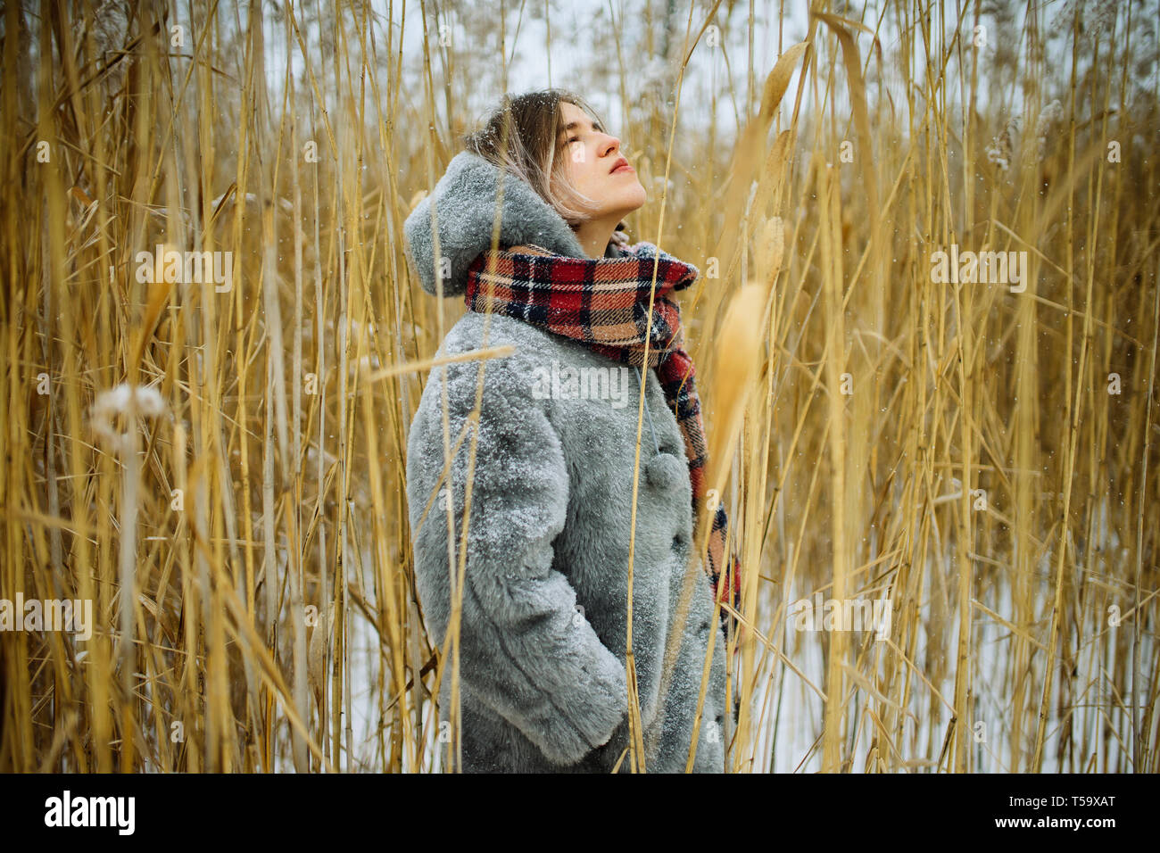 Woman in reeds hi-res stock photography and images - Alamy