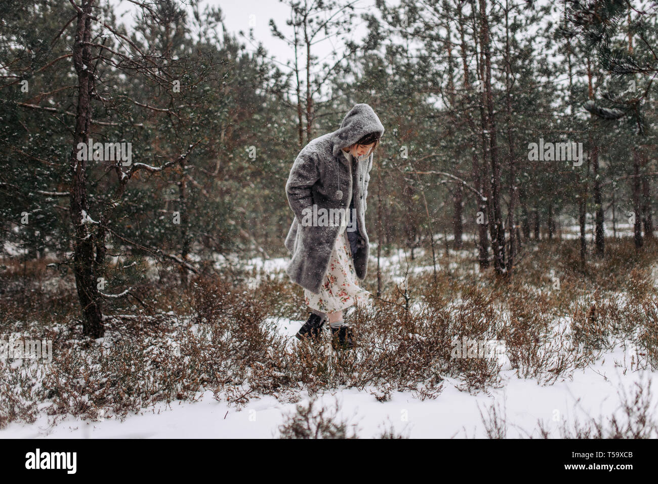 Cold winter walks in the woods hi-res stock photography and images - Alamy