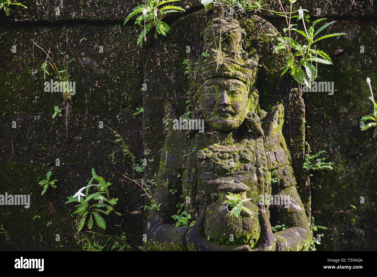 Mossy temple hi-res stock photography and images - Alamy